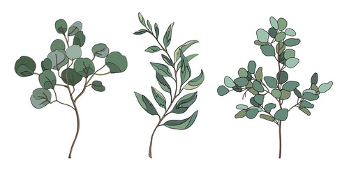 Eucalyptus Vector Images (over 17,000)