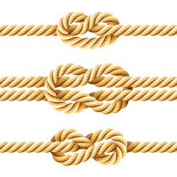 Set isolated hanging ropes with tassels Royalty Free Vector