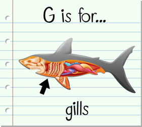 Flashcard alphabet g is for gift Royalty Free Vector Image