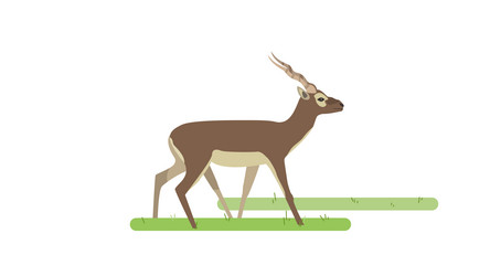Blackbuck Vector Images (47)