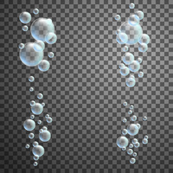 Fizzy bubbles isolated Royalty Free Vector Image