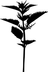Nettle Icon Vector Images (over 270)