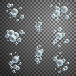 Fizzy bubbles isolated Royalty Free Vector Image