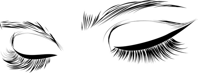 Female eyes drawing long eyelashes Royalty Free Vector Image