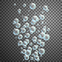 Fizzy bubbles isolated Royalty Free Vector Image