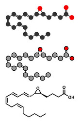 Leukotriene a4 lta4 molecule skeletal formula Vector Image