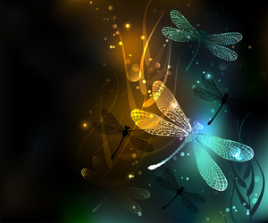 Dragonfly Vector Images (over 16,000)