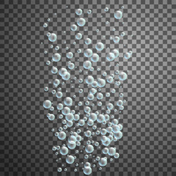 Fizzy bubbles isolated Royalty Free Vector Image