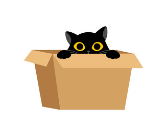 A cat inside the box Royalty Free Vector Image