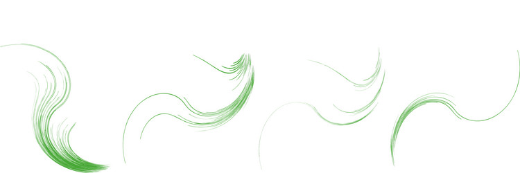 Organic weed grass like curvy wavy lines Vector Image