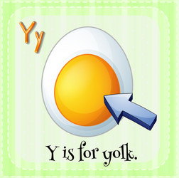 Letter y uppercase and lowercase tracing practice Vector Image