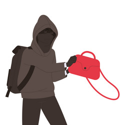 Crime with man criminal stealing bag with money Vector Image