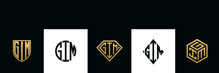 Gim Logo Vector Images (41)