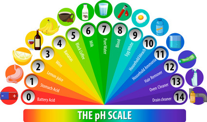 Ph scale diagram on white background Royalty Free Vector