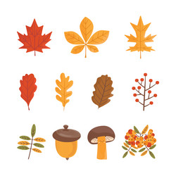 Cute Fall Clip Art