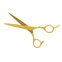 Scissors icon on white background Royalty Free Vector Image