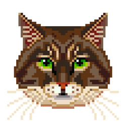 Pixel sphinx cat portrait detailed isolated Vector Image