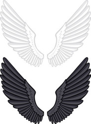 Wings Vector Images (over 390,000)