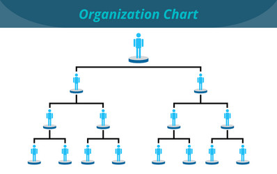 Organization chart infographics with people icon Vector Image