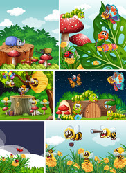 Set different insects living in garden Royalty Free Vector