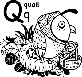 Alphabet isolated letter q-quill-quail Royalty Free Vector