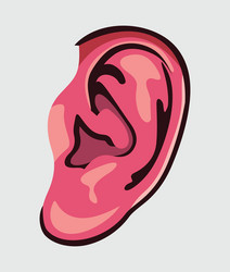 Ear Royalty Free Vector Image - VectorStock