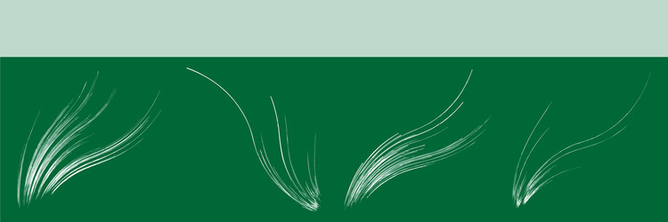 Organic weed grass like curvy wavy lines Vector Image