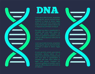 Dna silhouettes set poster Royalty Free Vector Image