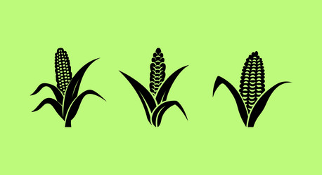 Cornstalk icons representing corn stems Royalty Free Vector