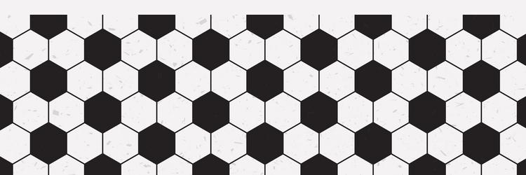 Black and white panoramic texture football Vector Image