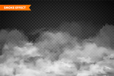 Smoke effect on a transparent background Vector Image