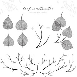 Leaf Veins Vector Images (over 3,600)