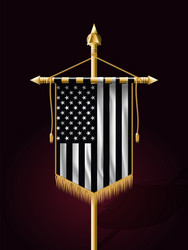 Black and white american flag icon Royalty Free Vector Image