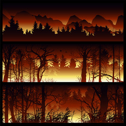 Woodland eco banner fire in forest wildfire Vector Image