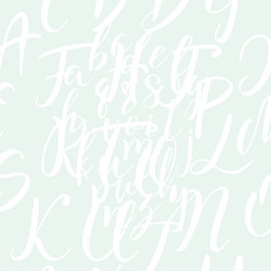 Hand drawn alphabet calligraphy letters Royalty Free Vector