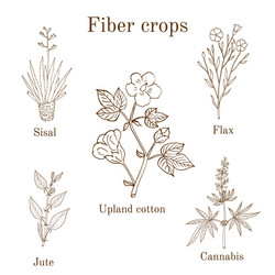 Jute Vector Images (over 2,200)