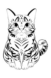 Tabby Cat Vector Images (over 6,400)