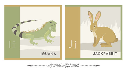 Alphabet Letter I and Iguana Vector Images (over 130)