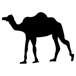 Camel Vector Images (over 17,000)