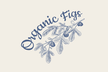 Fig Logo Vector Images (over 740)