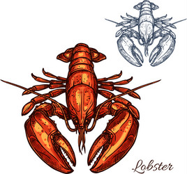 Lobster ink sketch on old paper Royalty Free Vector Image