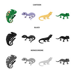 Agama Vector Images (over 120)