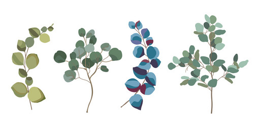Eucalyptus Vector Images (over 17,000)