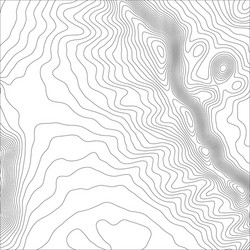 Topographic map geographical location lines Vector Image