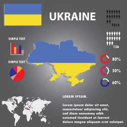 Country infographics template Royalty Free Vector Image