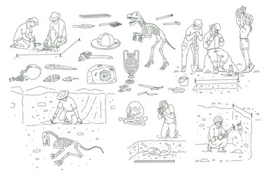 Set isolated icons for archeology paleontology Vector Image