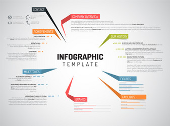 Company infographic overview design template Vector Image