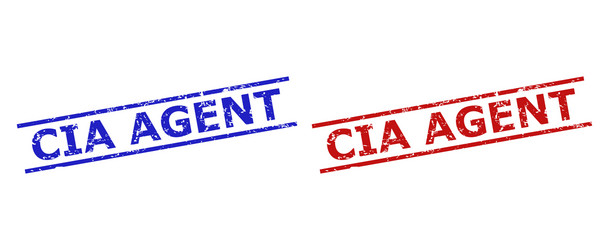 Fbi Watermark Spy Vector Images (over 170)