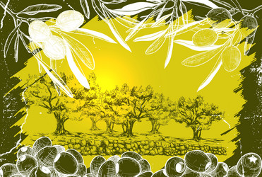 Olive Tree Drawing Vector Images (over 4,500)