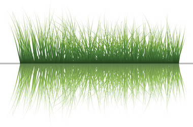 Grass on water Royalty Free Vector Image - VectorStock